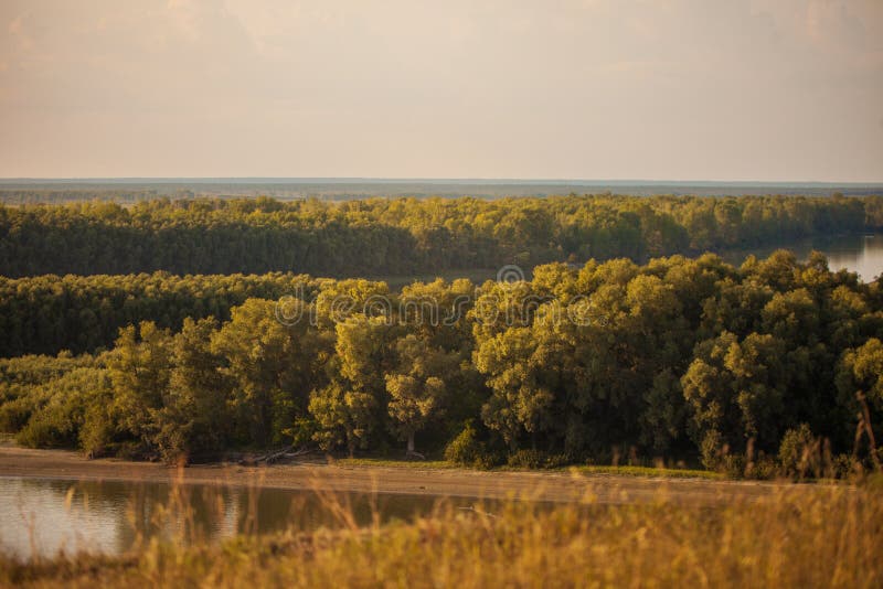 River and Forest Landscape. Dramatic Creepy Stock Image - Image of ...