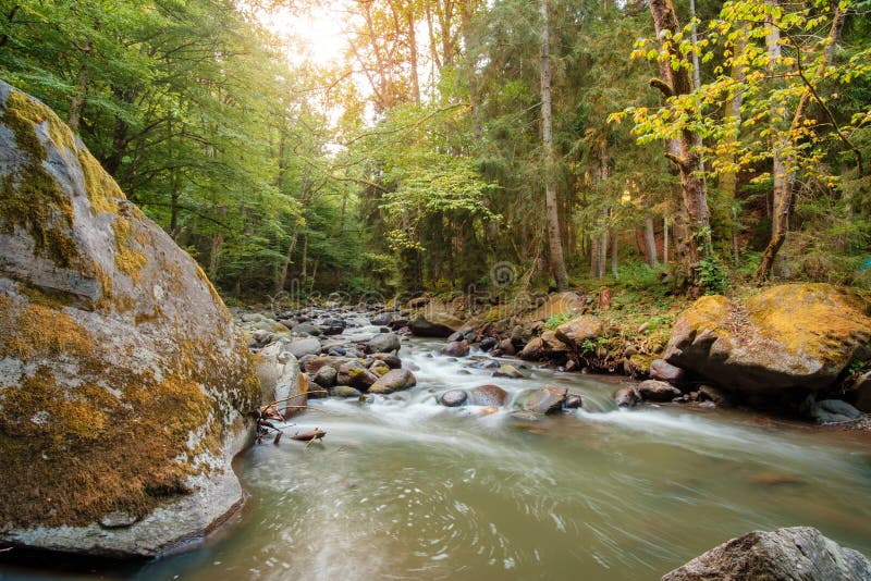 River in the forest stock photo. Image of season, recreation - 157487784