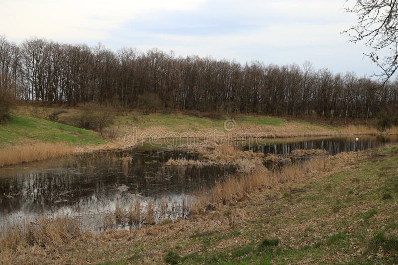 River and Forest Line on a Hill Stock Image - Image of nature, river ...