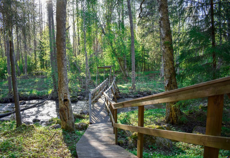 River in a Forest with a Little Bridge Stock Image - Image of river ...