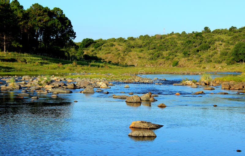 River and forest stock image. Image of nature, mountains - 43121573