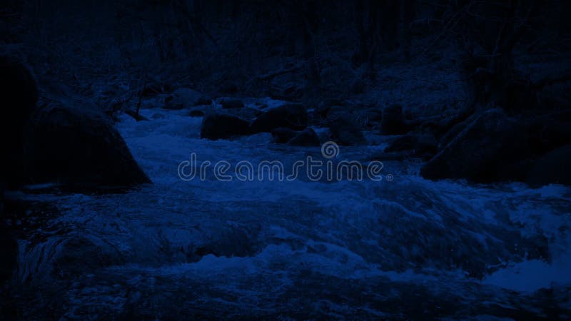 Big River through Forest at Night Stock Footage - Video of woodland ...