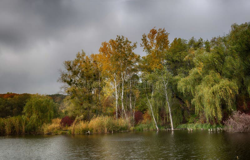 Overcast autumn day stock image. Image of color, rainy - 102761505