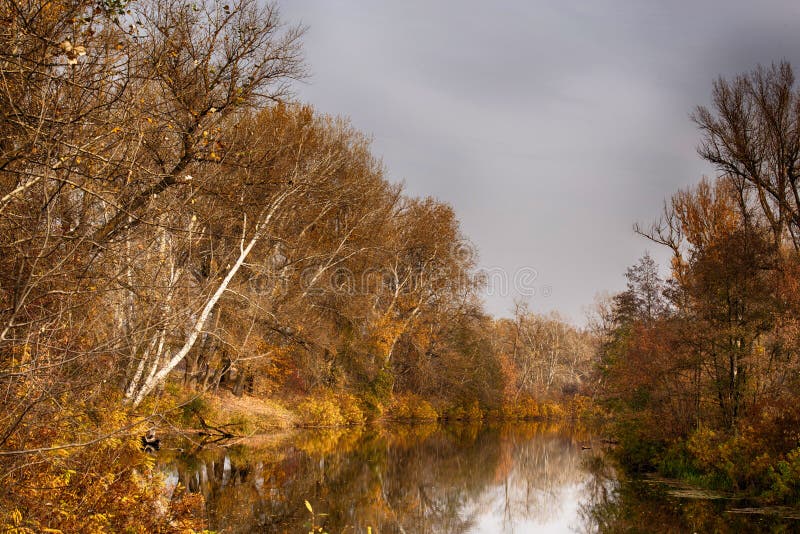 River in the Forest on a Overcast Autumn Day Stock Photo - Image of ...