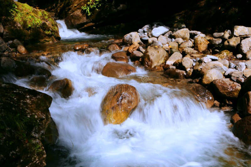 A river through the forest stock image. Image of chaudron - 183028499