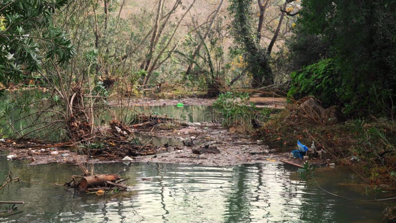 A River in the Forest, Polluted with Plastic Garbage. Freshwater ...