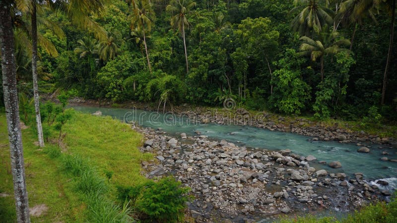 River between Forest and Rice Fields Stock Photo - Image of wilderness ...