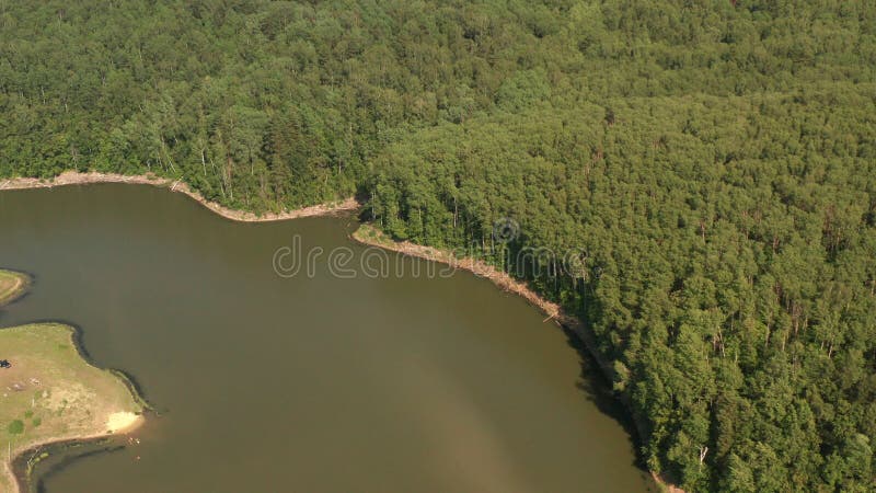 River and Forest, Shot from a Quadcopter. Top View of a Thin River and ...