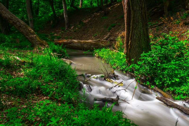River in forest stock photo. Image of groove, fresh, quba - 92502362