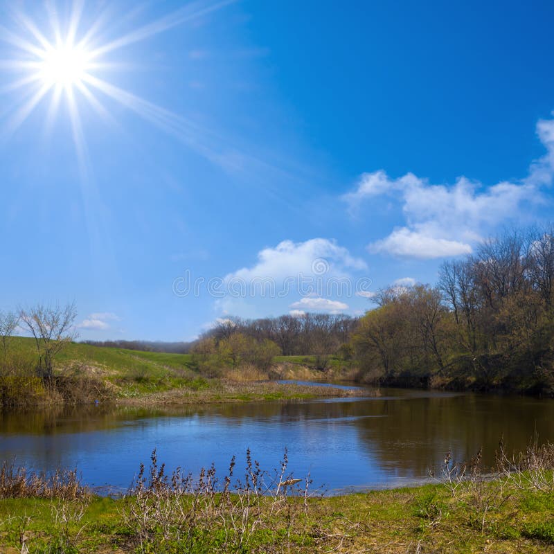 River in Forest at the Sunny Spring Day Stock Image - Image of sunlight ...