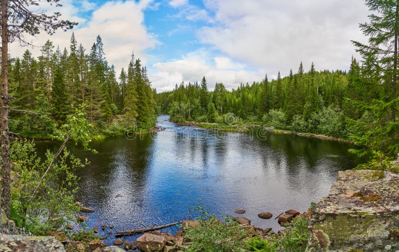River through Forest in Sweden with Blue Sky and Clouds Stock Image ...