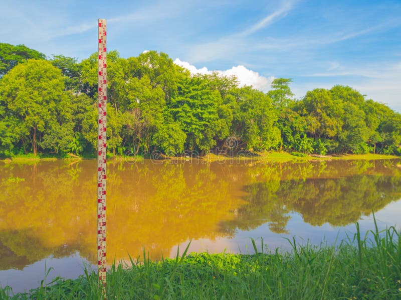 River and forest tree. stock image. Image of blue, detail - 152217329