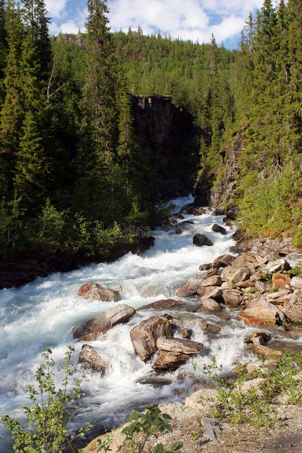 River in forrest stock image. Image of northern, gill - 17221835