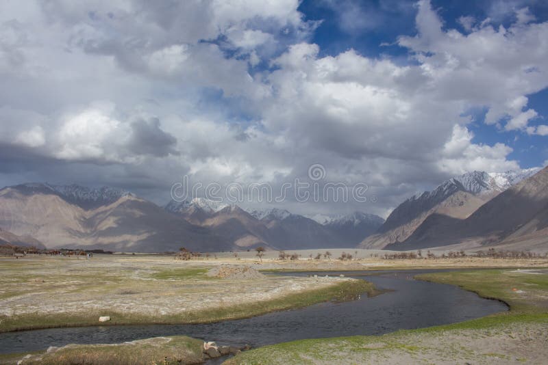 The River in Front of the Drying Trees. Stock Image - Image of nubra ...