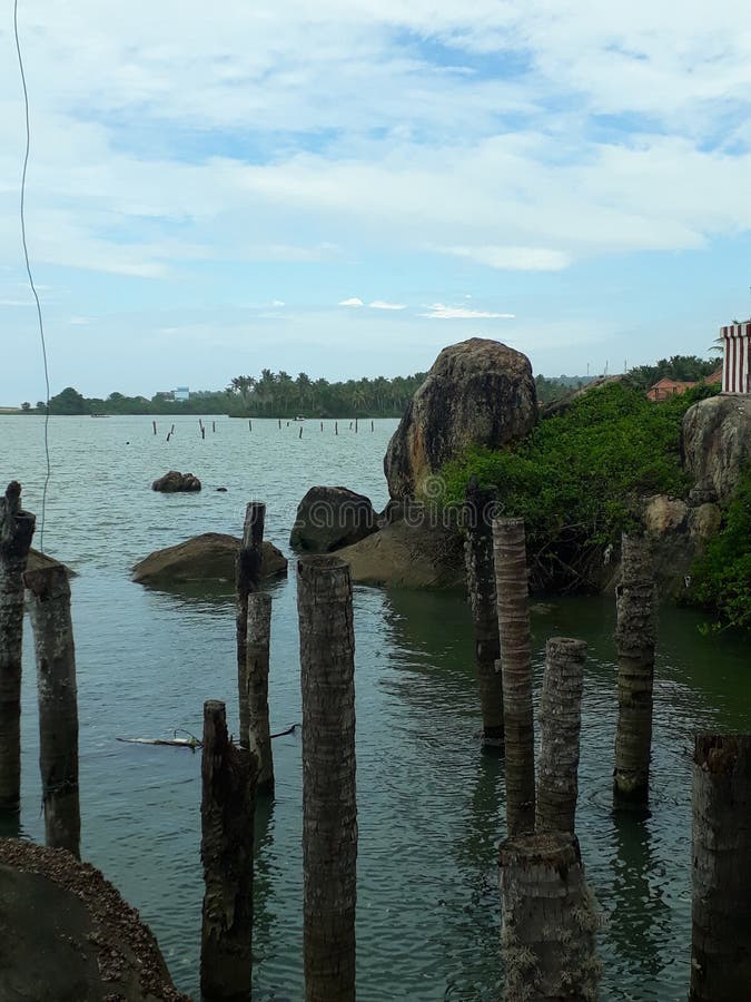 Beautiful stock image. Image of cute, coconut, front - 133878785