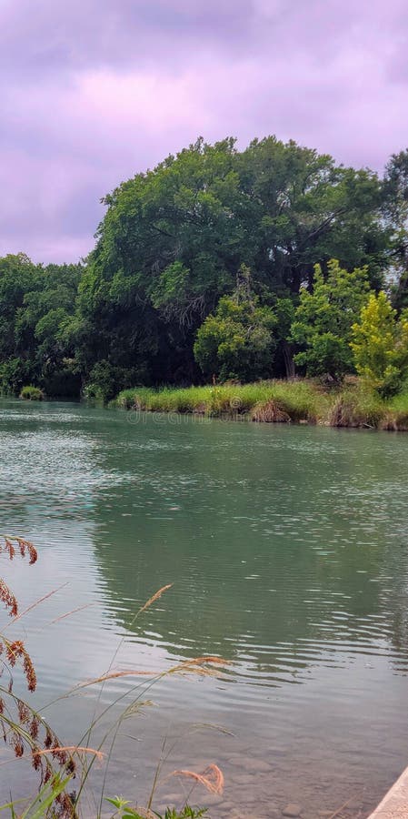 River Front View from Sidewalk Stock Photo - Image of view, wetland ...