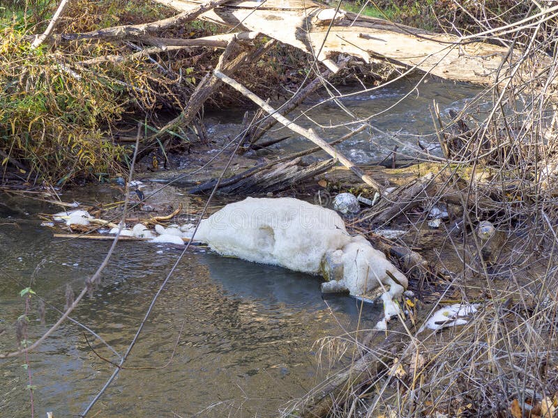 Garbage in a Large River on Its Way through the City Stock Photo ...