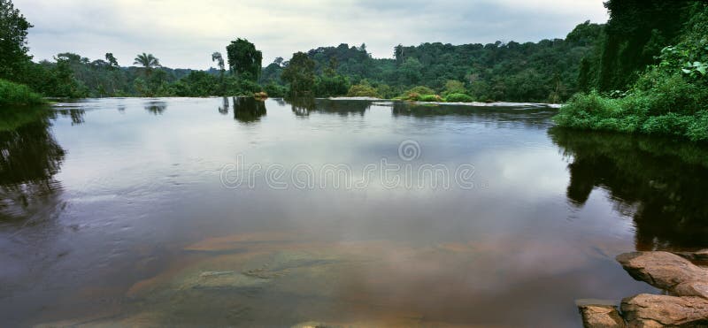 River in gabon stock photo. Image of wildlife, view - 103585118