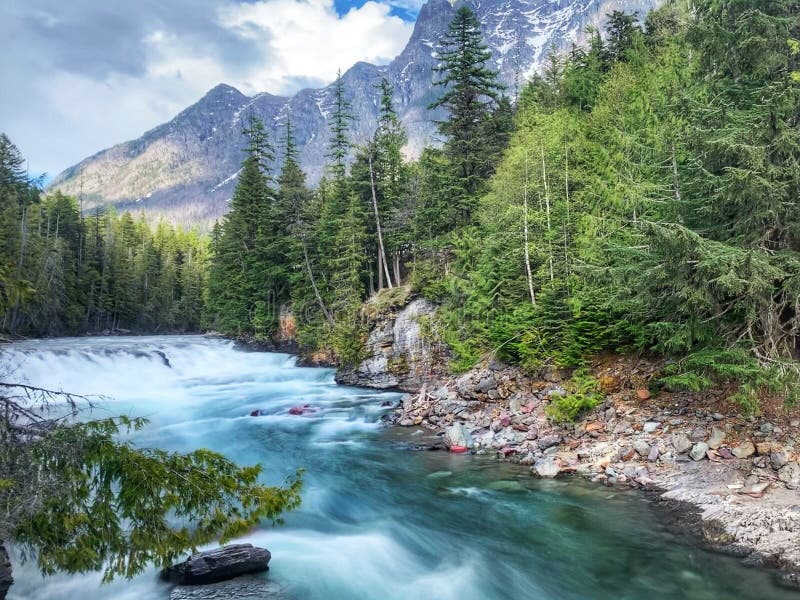 River in Glacier National Park Stock Photo - Image of clean, glacier ...