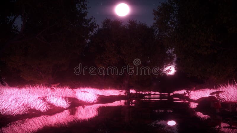 The Forest of the Glowing Lake by Night - Loop Nature Landscape Motion ...
