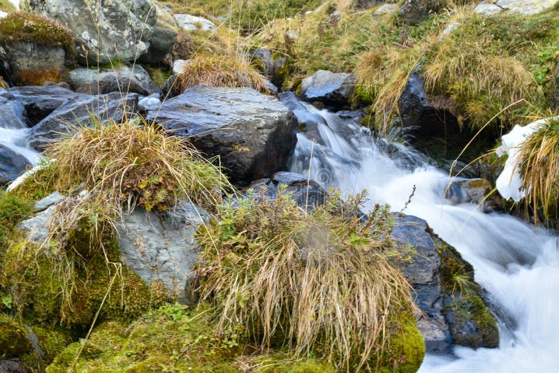 River Going Down the Mountain in Summer Stock Photo - Image of creek ...