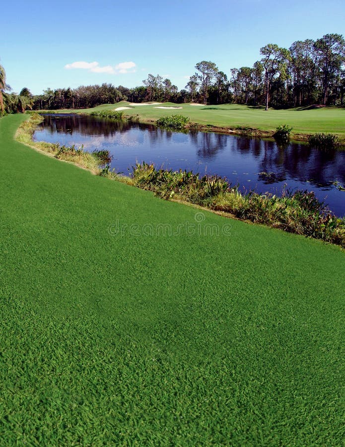 Popular Images - Free Stock Photos - StockFreeImages - Page: 11