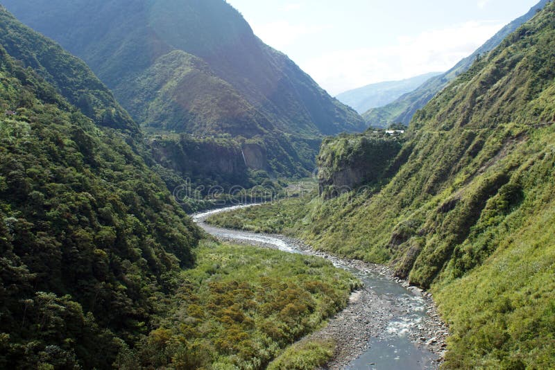 River in a gorge stock image. Image of green, flowing - 157623685