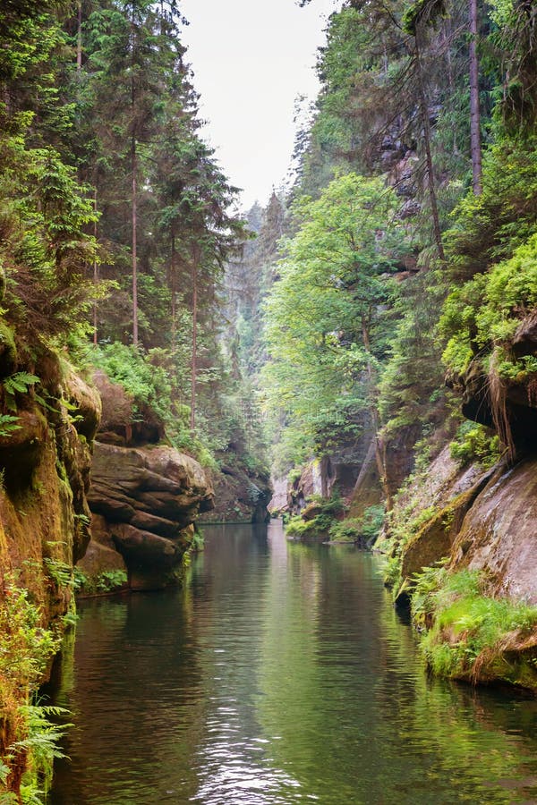 Gorges in Czech Republic stock image. Image of elbe - 125753827