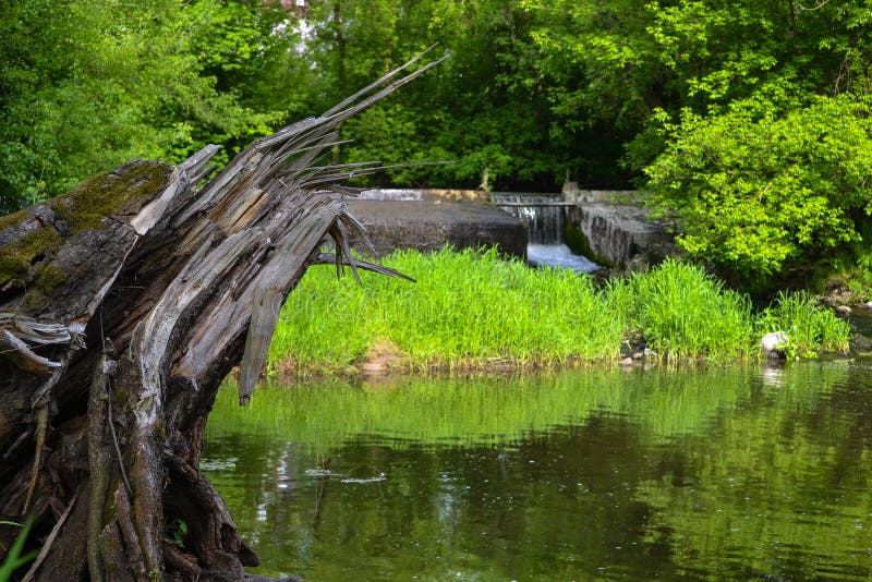 River Grabia, Poland stock image. Image of warta, grabia - 87687771