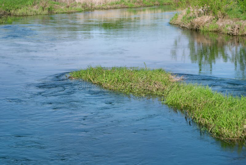 River Grass on a Strong Current of a Spring River Stock Image - Image ...