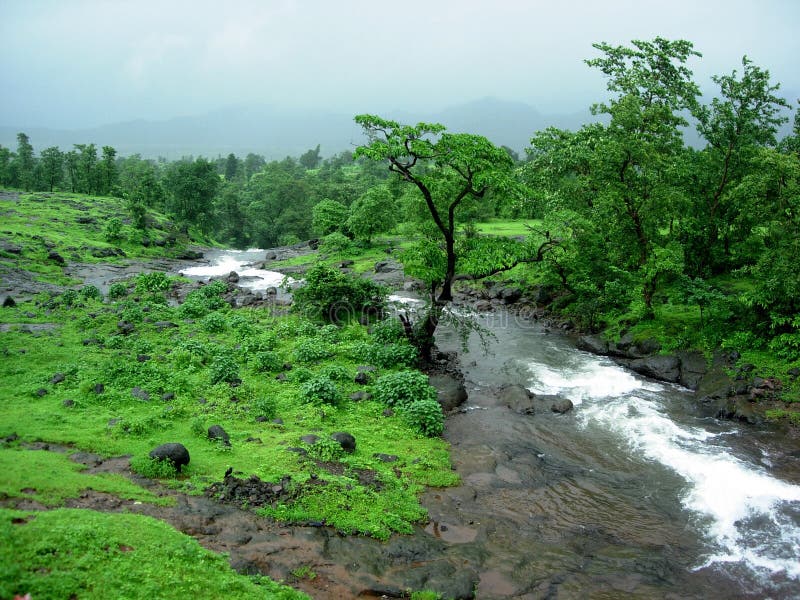 River in green countryside stock photo. Image of stream - 7878666