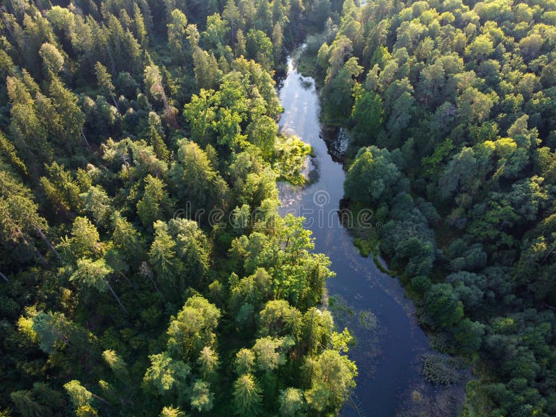 River and Green Forest Aerial View Stock Photo - Image of tree, river ...