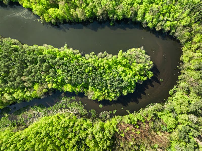 River and Green Forests at Spring. Wildlife in Poland Stock ...