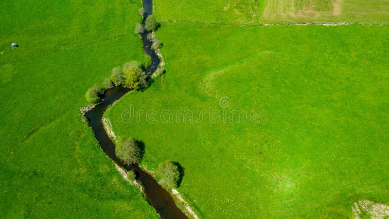River and green meadow stock image. Image of tree, meadow - 149507587