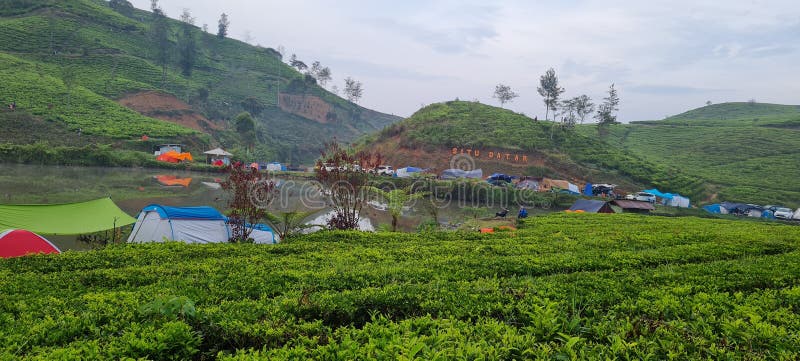 River with Green Tea Tree Situ Datar Stock Photo - Image of valley ...
