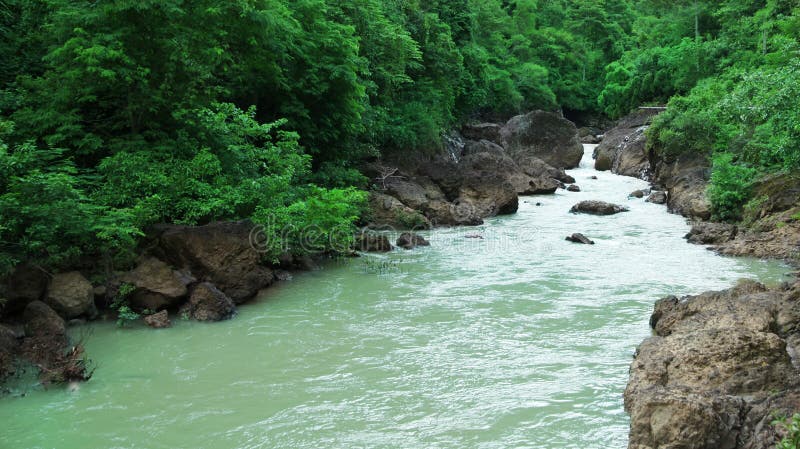 River with green trees stock image. Image of earth, global - 14484707