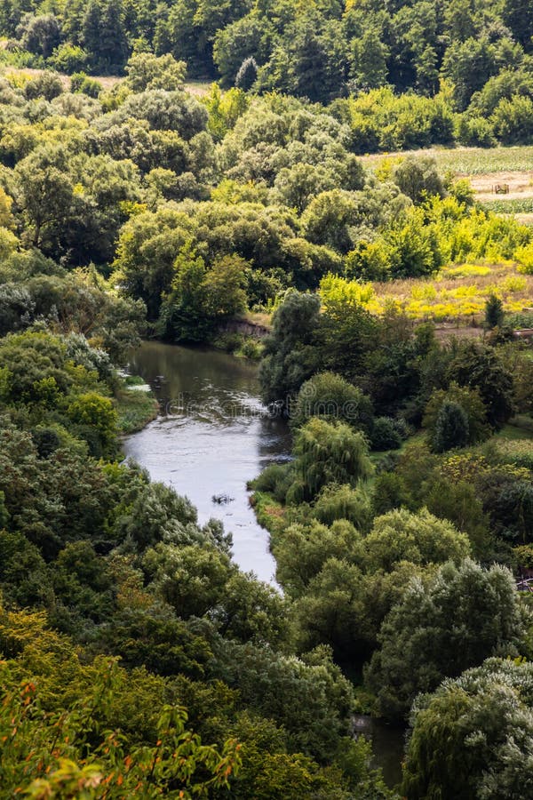 River among Green Trees in Summer. Aerial Drone View Stock Photo ...