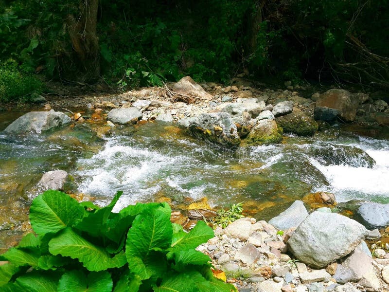 River green water outside stock image. Image of outside - 180662713