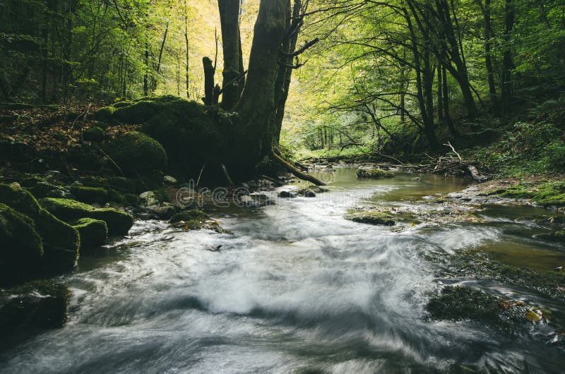 River with greenery stock image. Image of transylvania - 85823671