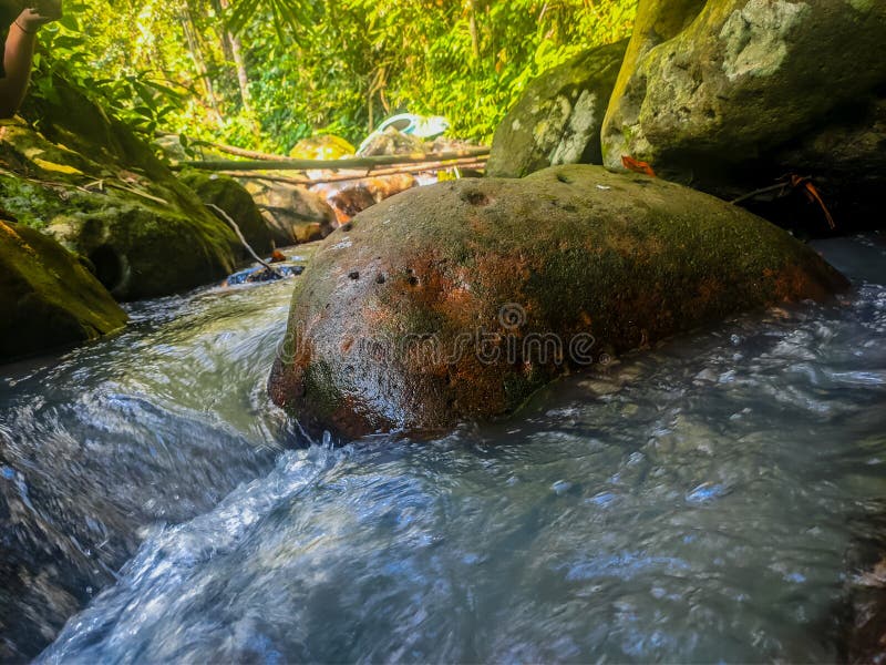 This River Has Water that is so Clear that it Flows Quite Fast Stock ...