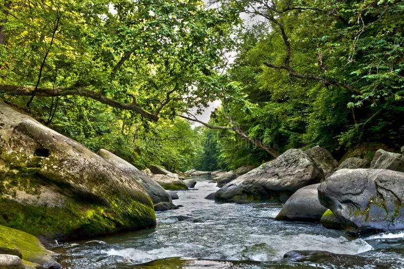 River HDR stock photo. Image of trees, nature, flowing - 22222272