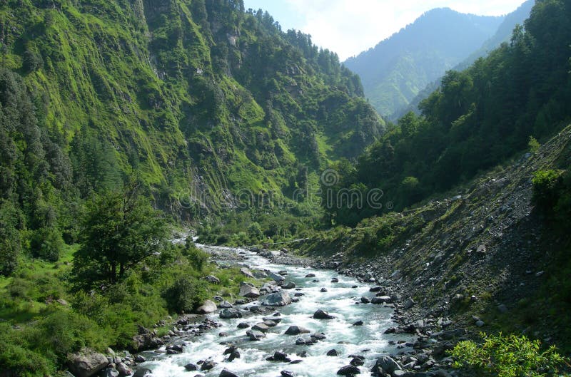 River in the High Himalayas, India Stock Photo - Image of forest ...