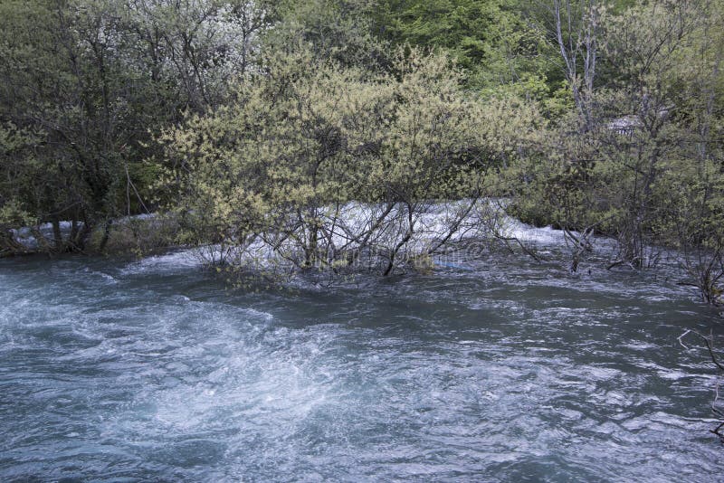 River with High Water after Heavy Rainfall Stock Photo - Image of days ...