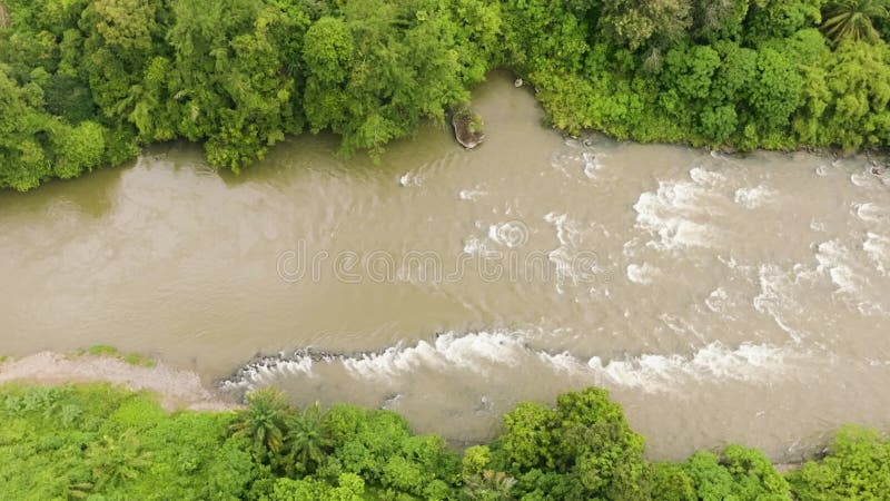 River in the Rainforest. Sumatra, Indonesia. Stock Video - Video of ...