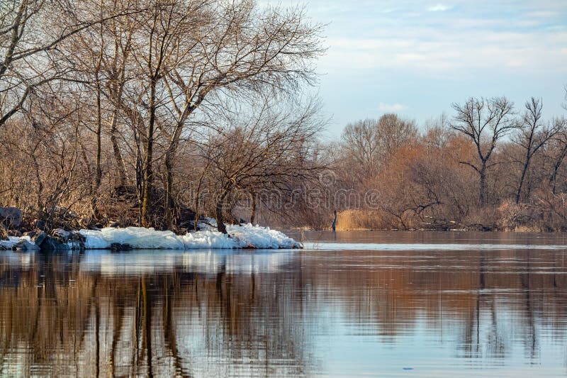 River and Ice on the Shore in the Forest at the End of Winter and at ...