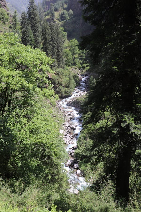 River Inside the Dense Forest in Himalaya Stock Image - Image of ...