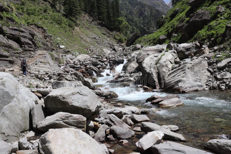 River Inside the Dense Forest in Himalaya Stock Image - Image of river ...
