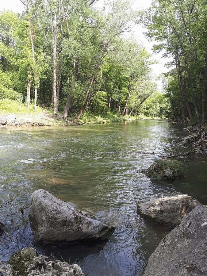 A river inside the forest stock image. Image of floodplain - 171903853