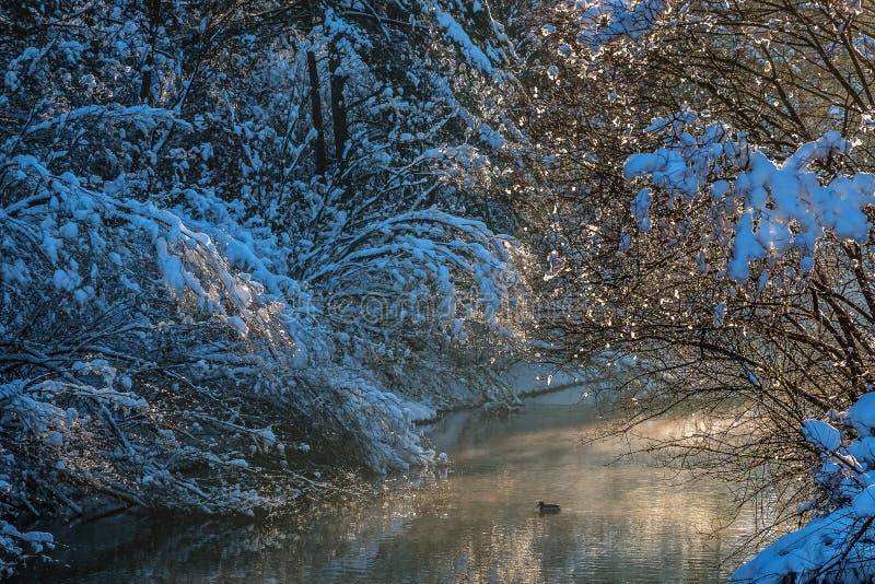 River isar in winter snow stock image. Image of wolfratshausen - 141196915