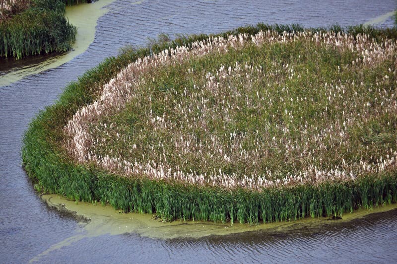 River islet and landscape stock photo. Image of yellow - 127344188